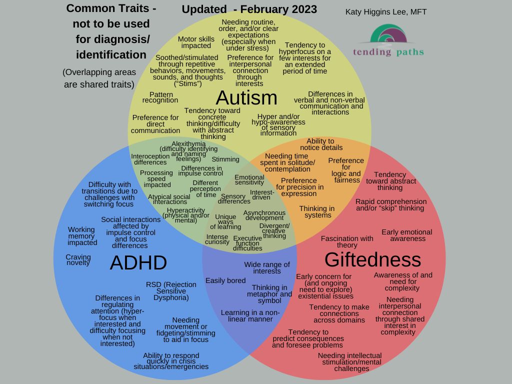 Giftedness, Autism, ADHD Venn Diagram PDF (FREE DOWNLOAD) Giftedness, Autism, ADHD Venn Diagram PDF (FREE DOWNLOAD)